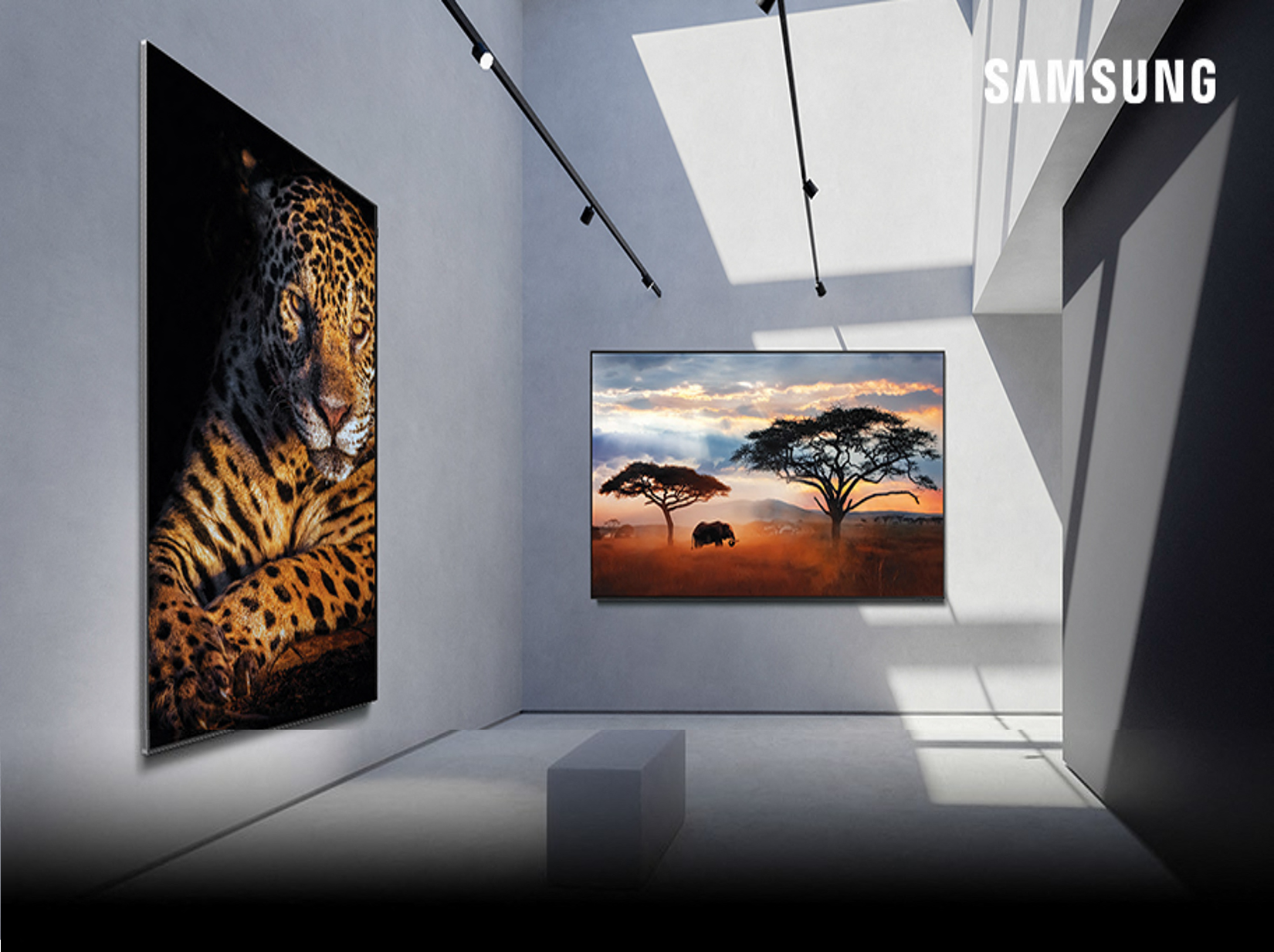 Samsung Display Division’s Commitment to the Industry Takes Center ...